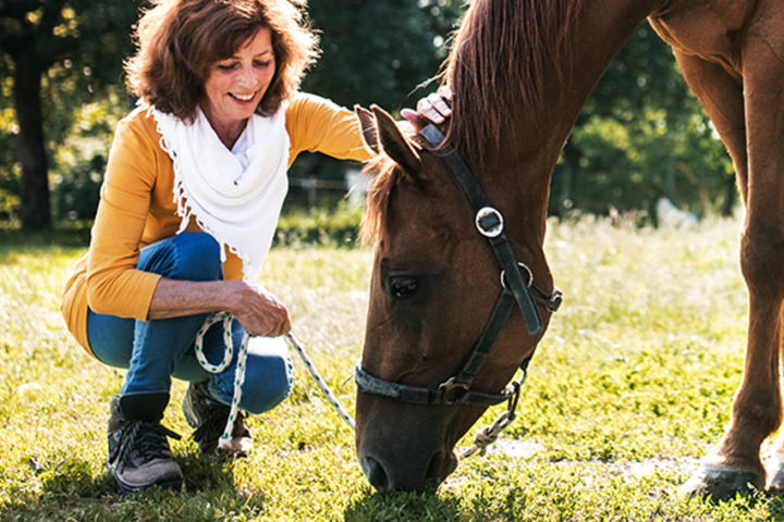 Homestead Stables Pauses Operations – Heritage Ministries